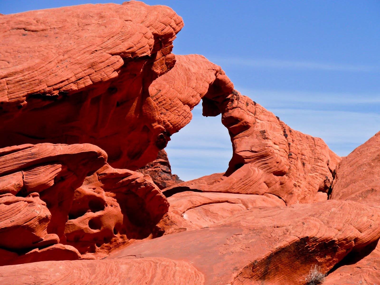 Lyn Scott's Photo Blog: Las Vegas in Spring