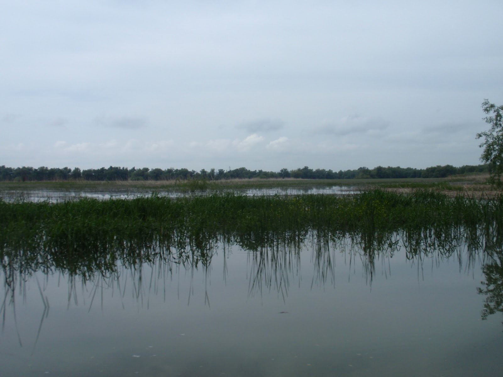 Romania prin ochii mei: Delta Dunarii