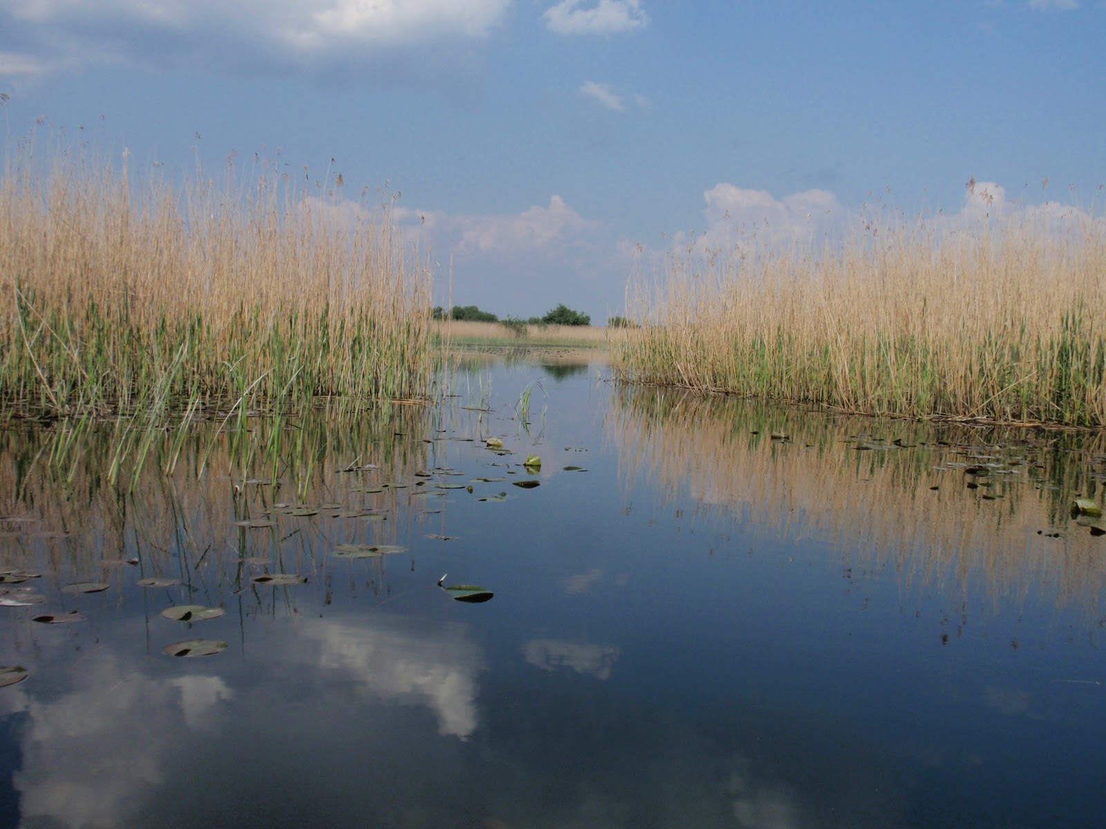 Romania prin ochii mei: Delta Dunarii