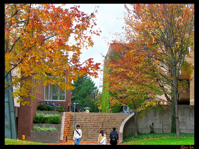Beautiful Canada: Waterloo, Ontario