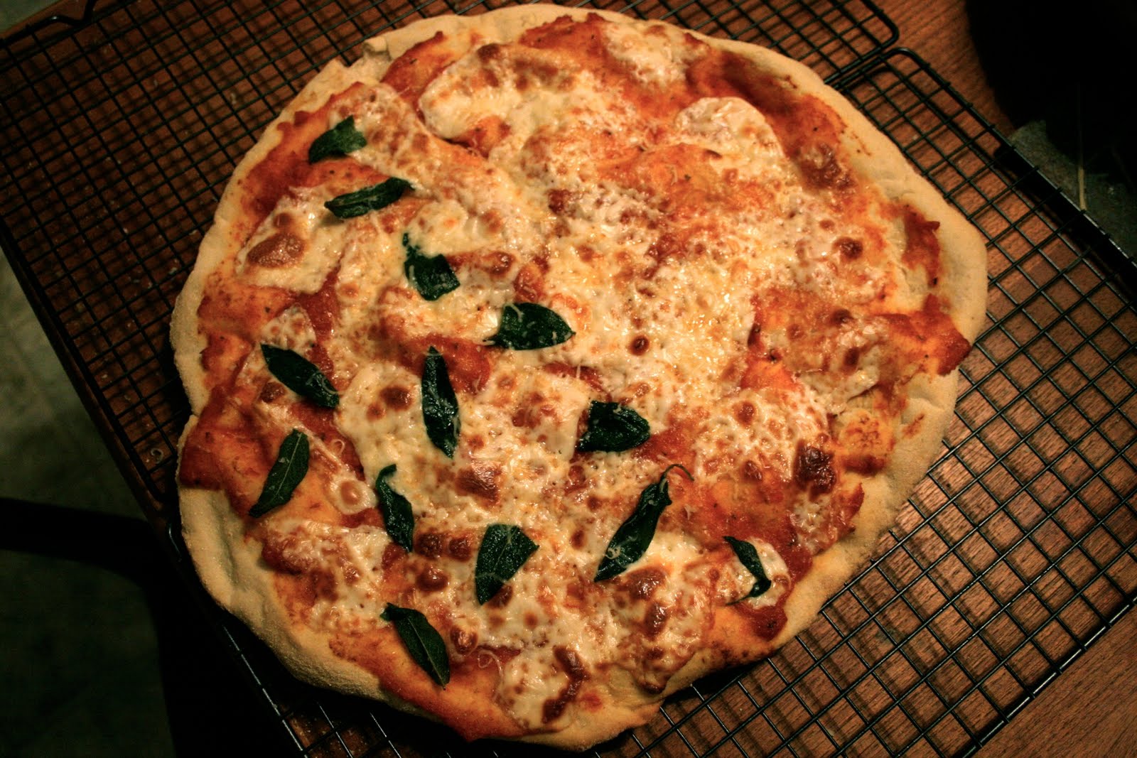 What's New at Truffula Seed Produce: Beautiful Roses and Sage Pizza