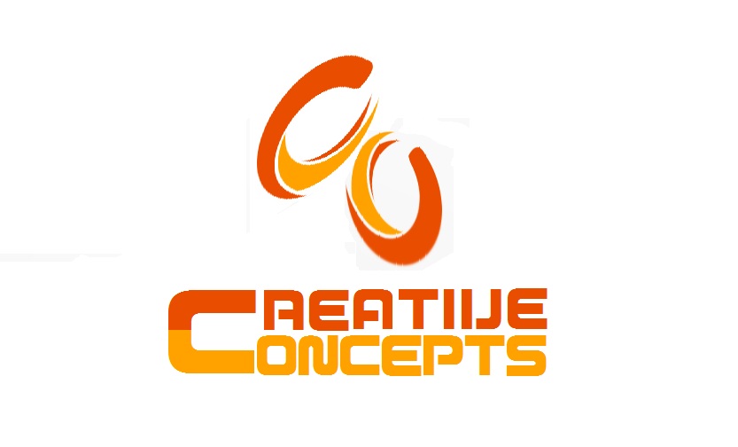 PRO-ZINES: Creative Concepts