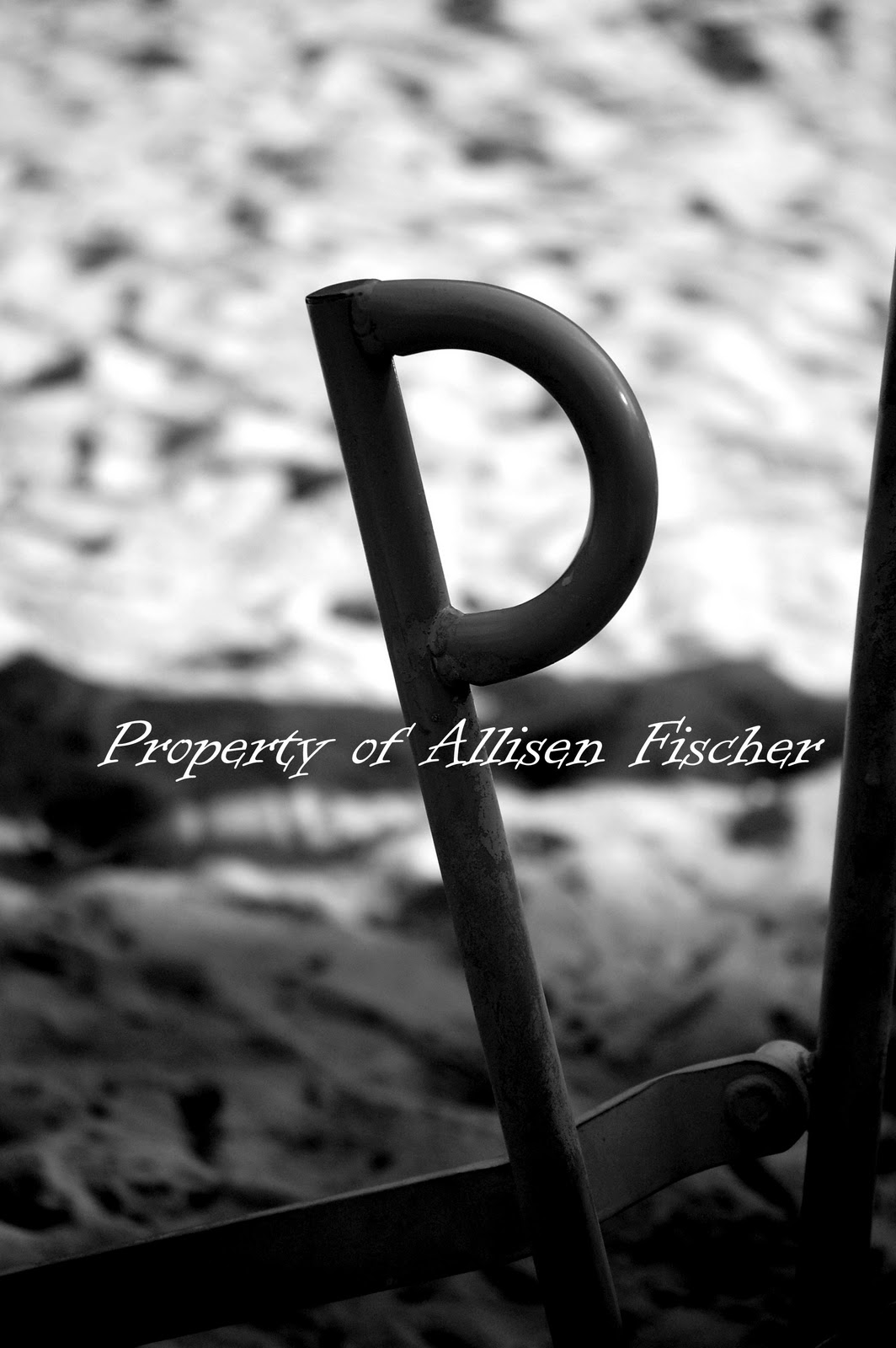 Lettography (Letter Photography): P