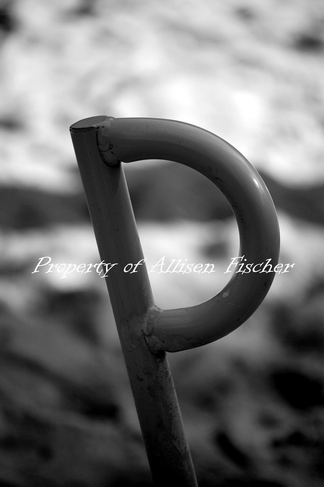 Lettography (Letter Photography): P