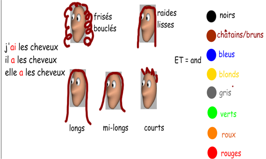 7RCS: LES CHEVEUX.........