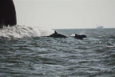 Storyville: Memorial Day - Offats Bayou