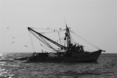 Storyville: Memorial Day - Offats Bayou