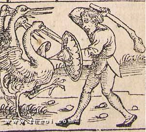 Optimus Sum!: Why Did Pygmies Fight Cranes?