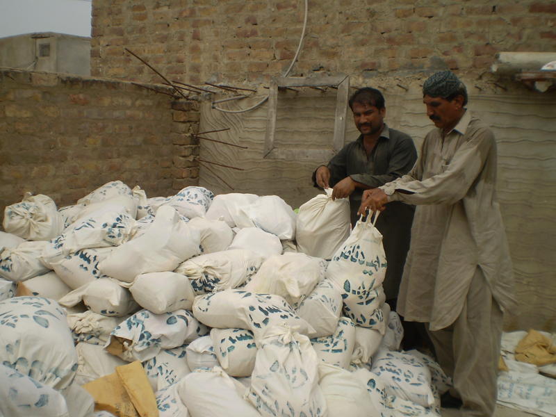 Shaheed Fazil Rahu Foundation: August 2010