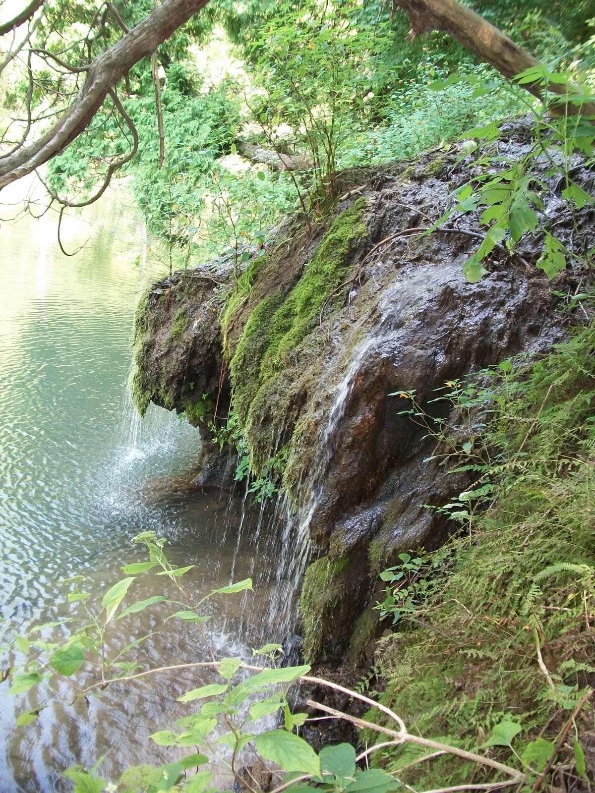 Contrarian: John Bryan State Park, Clifton Gorge Nature Preserve