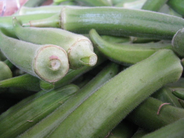 Blogue da Natureza: Kiabos