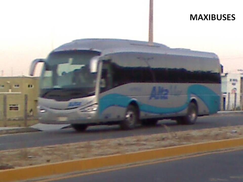 MAXIBUSES: ALTAMAR