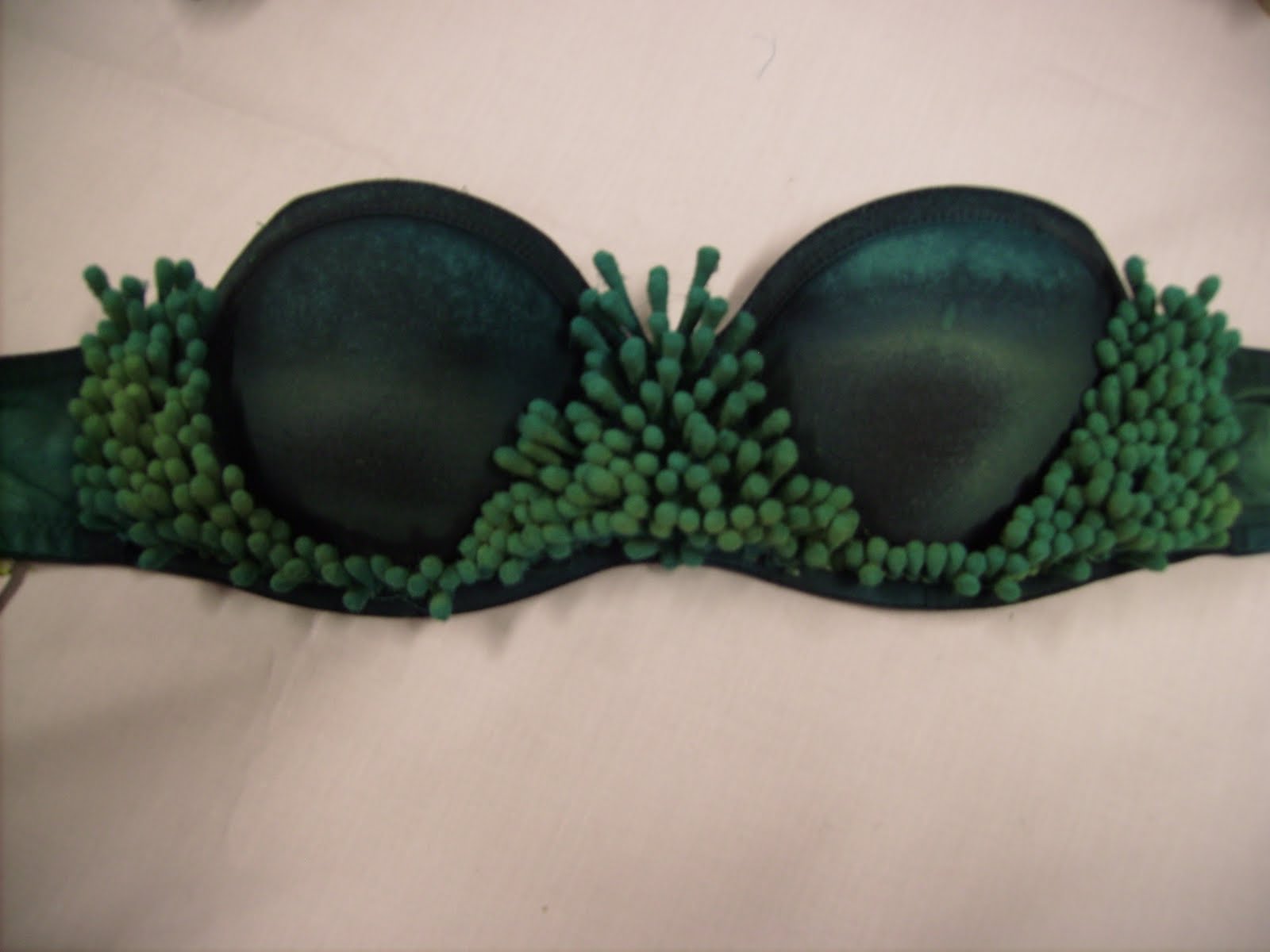 Stacey Lapper: unique cactus bra...