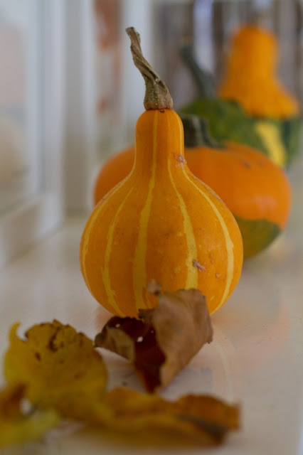 Saídos da Concha: English Country Life :: Bringing Autumn Indoors