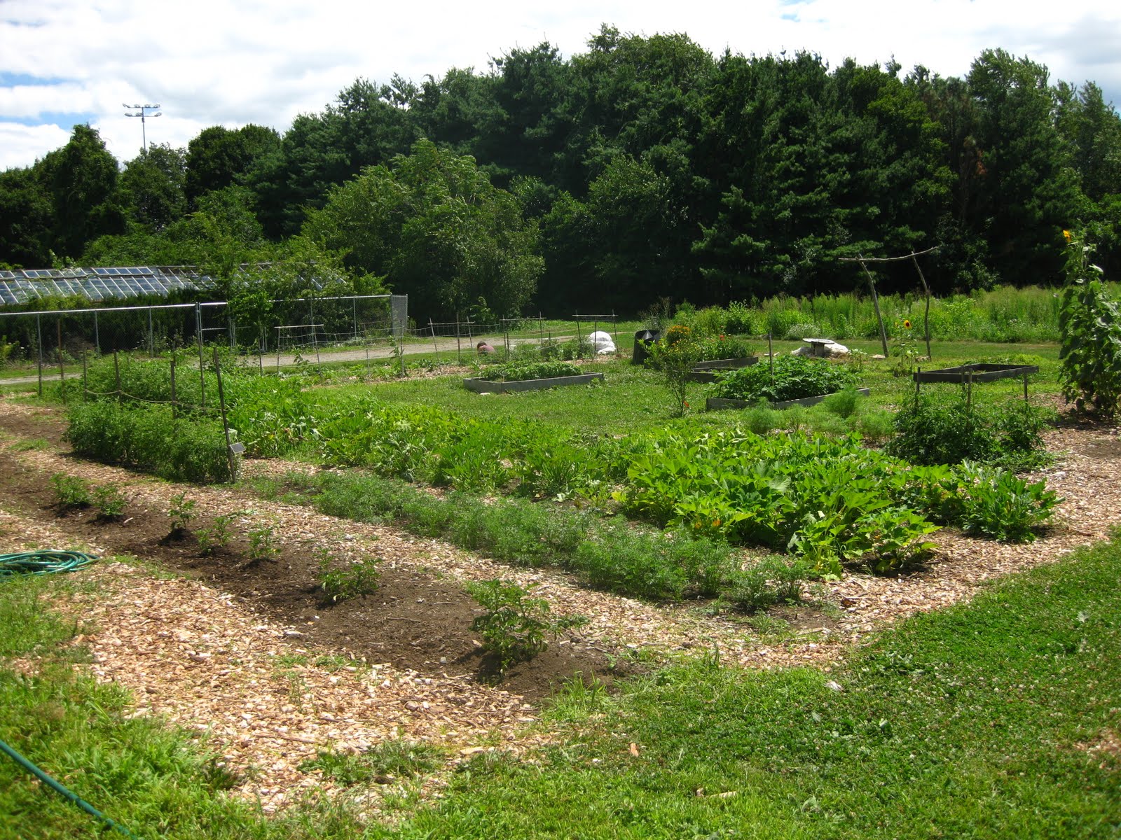 Waltham Fields Community Farm: Before and After