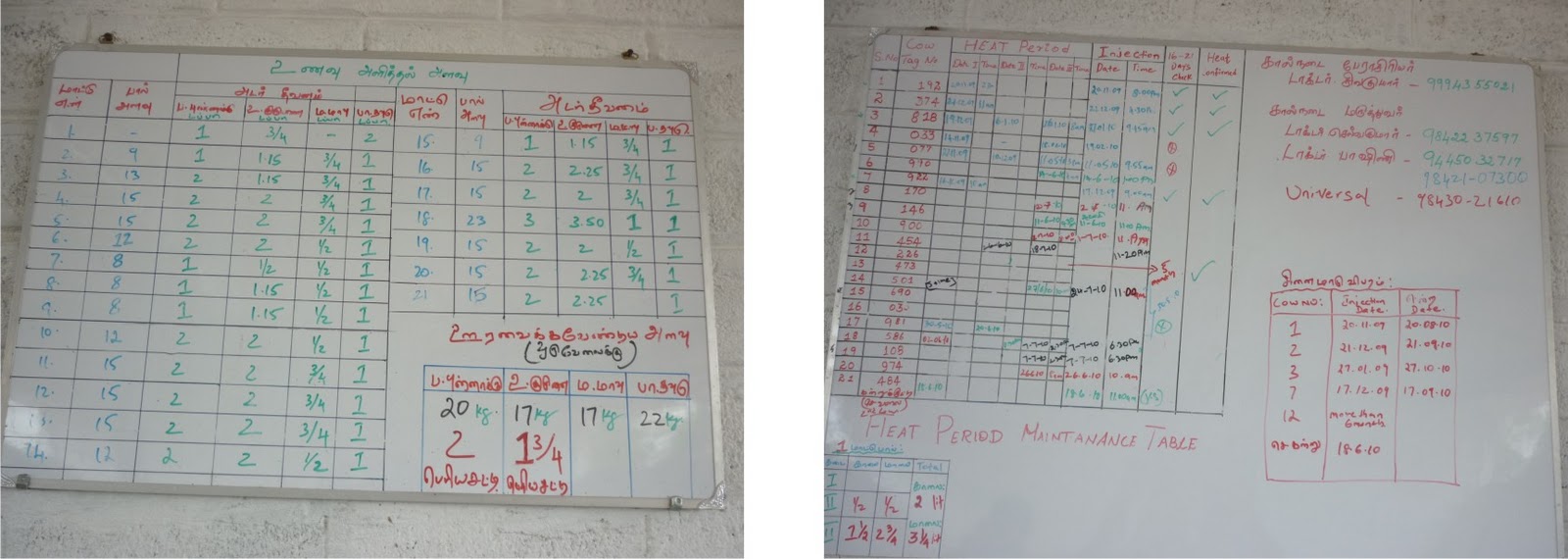 கசியும் மௌனம்: மாட்டுக்கார வேலன் - நகரத்திலிருந்து கிராமத்துக்கு ...