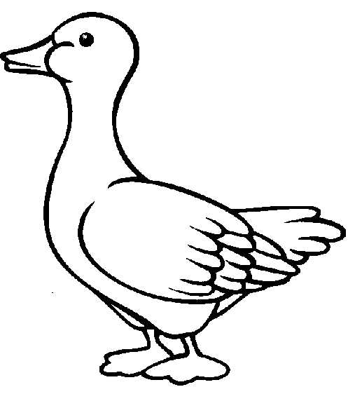 Laman Informasi Prasekolah: Haiwan Peliharaan