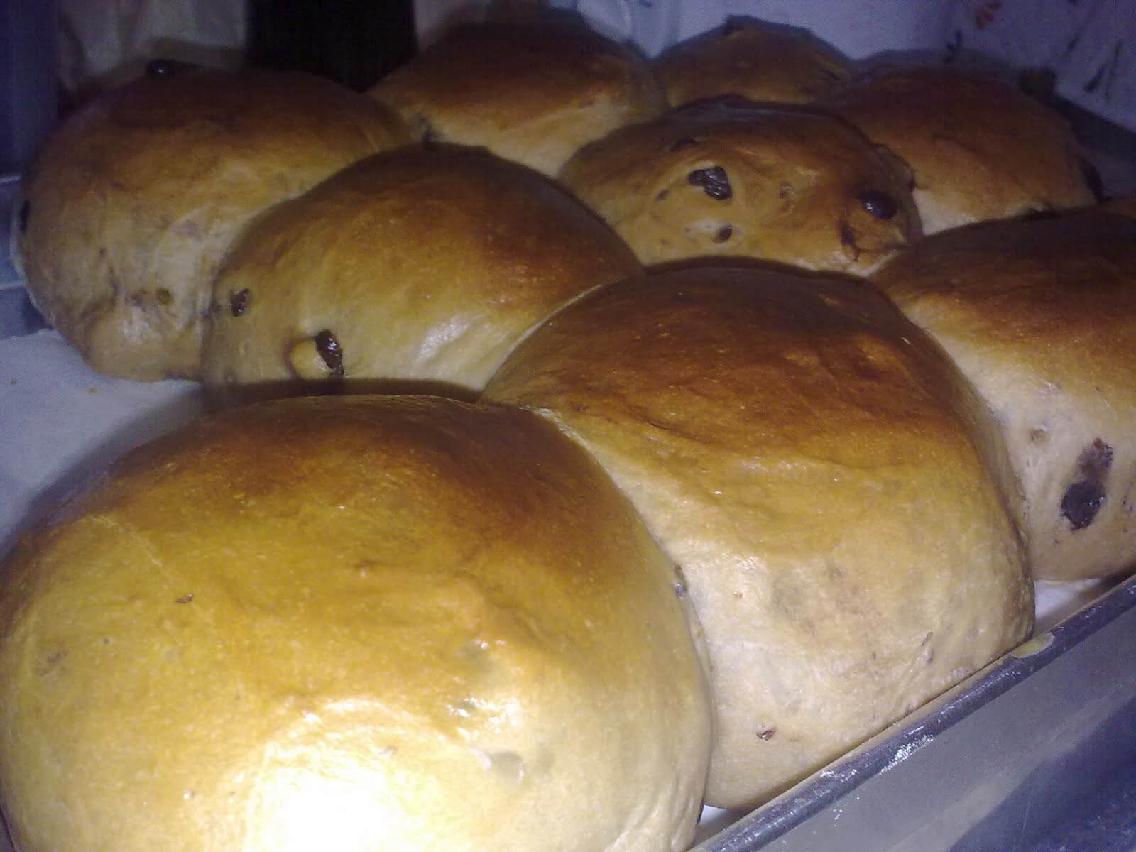 Jes's Deli Corner: Choc Chip & Raisin Bun
