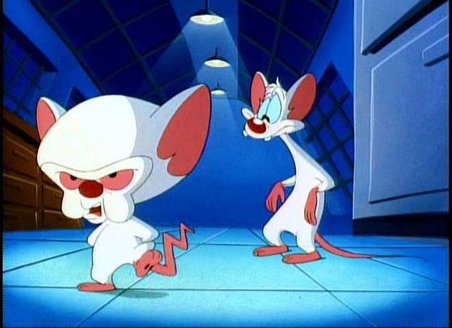 Garry Walkers Blog.: Pinky and the Brain Quotes