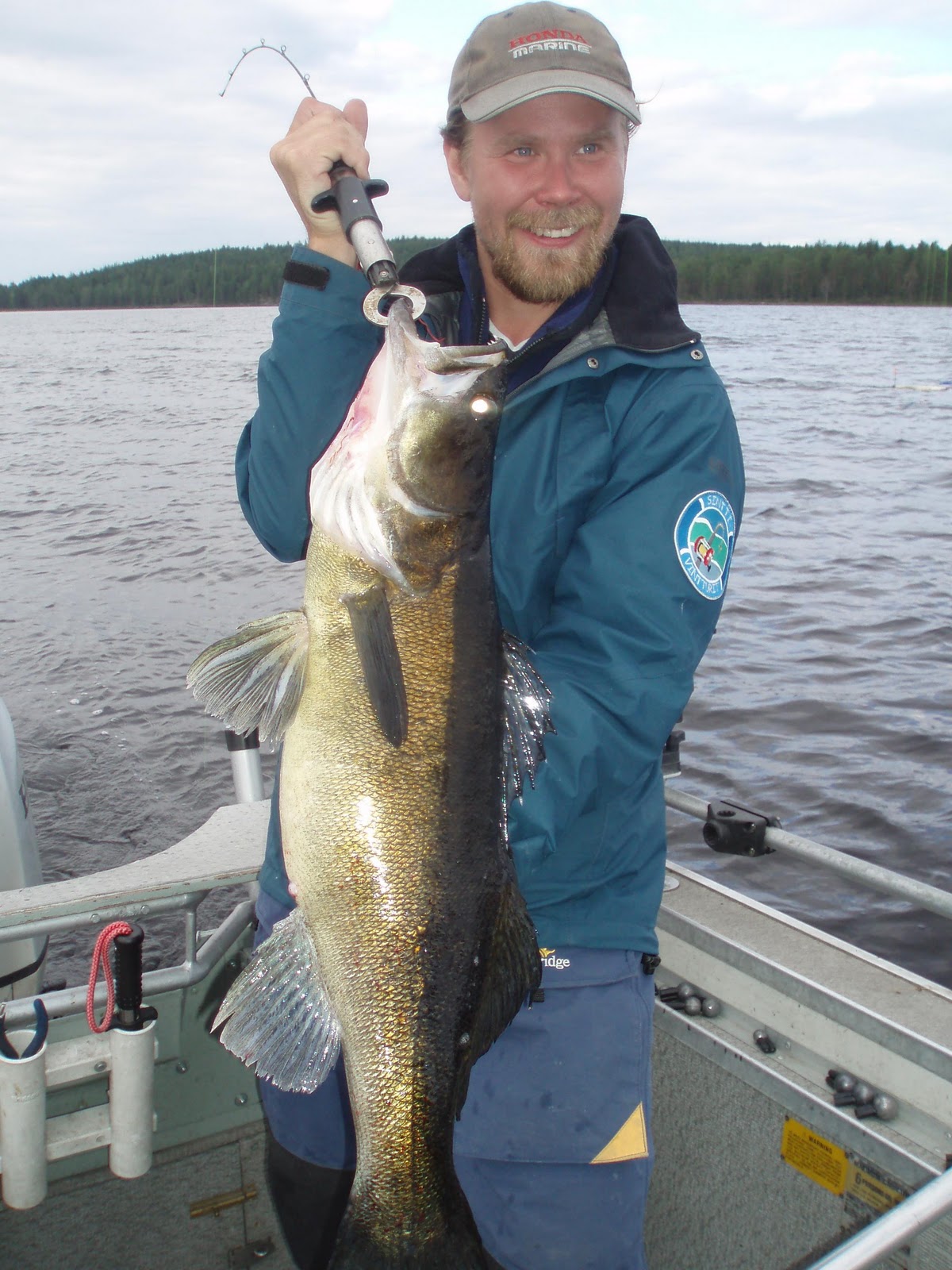 KIPPARIN PAKINOITA: Taivas ja Helvetti