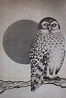 Solo Corrientes: LEYENDA DEL CABURE