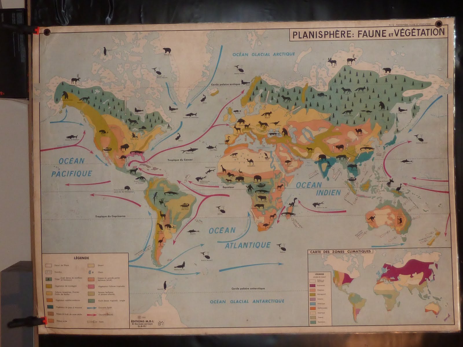 Vintage French Posters Botany Animals Anatomy, old World Maps from ...