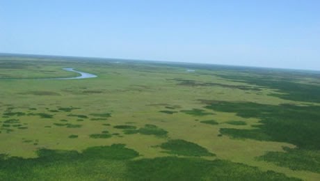 Giir GM Biar: The world's Largest Swamp, The Sudd, South Sudan