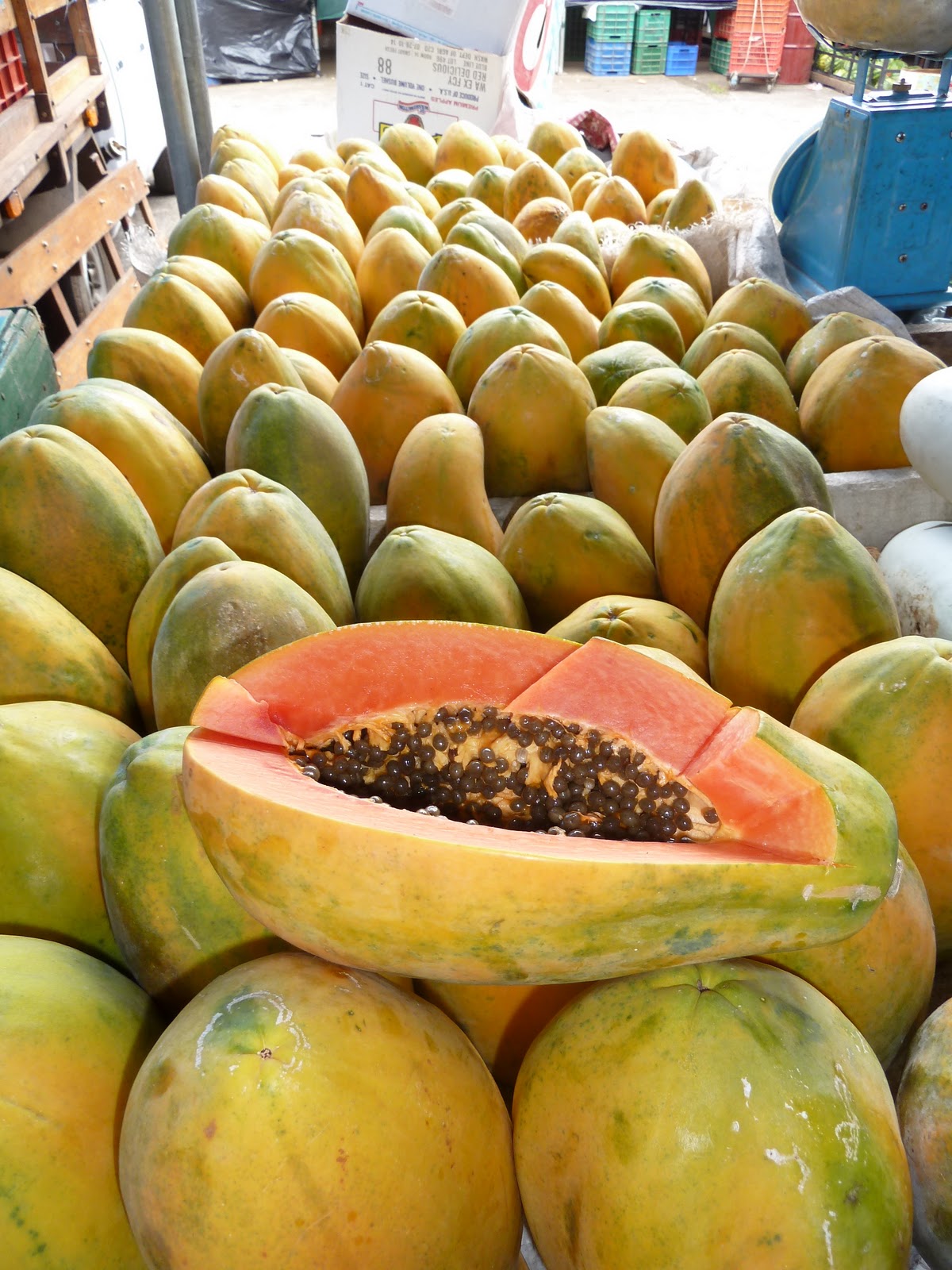 LA VIDA DE DILANIE EN COSTA RICA!: De frutas y la natura