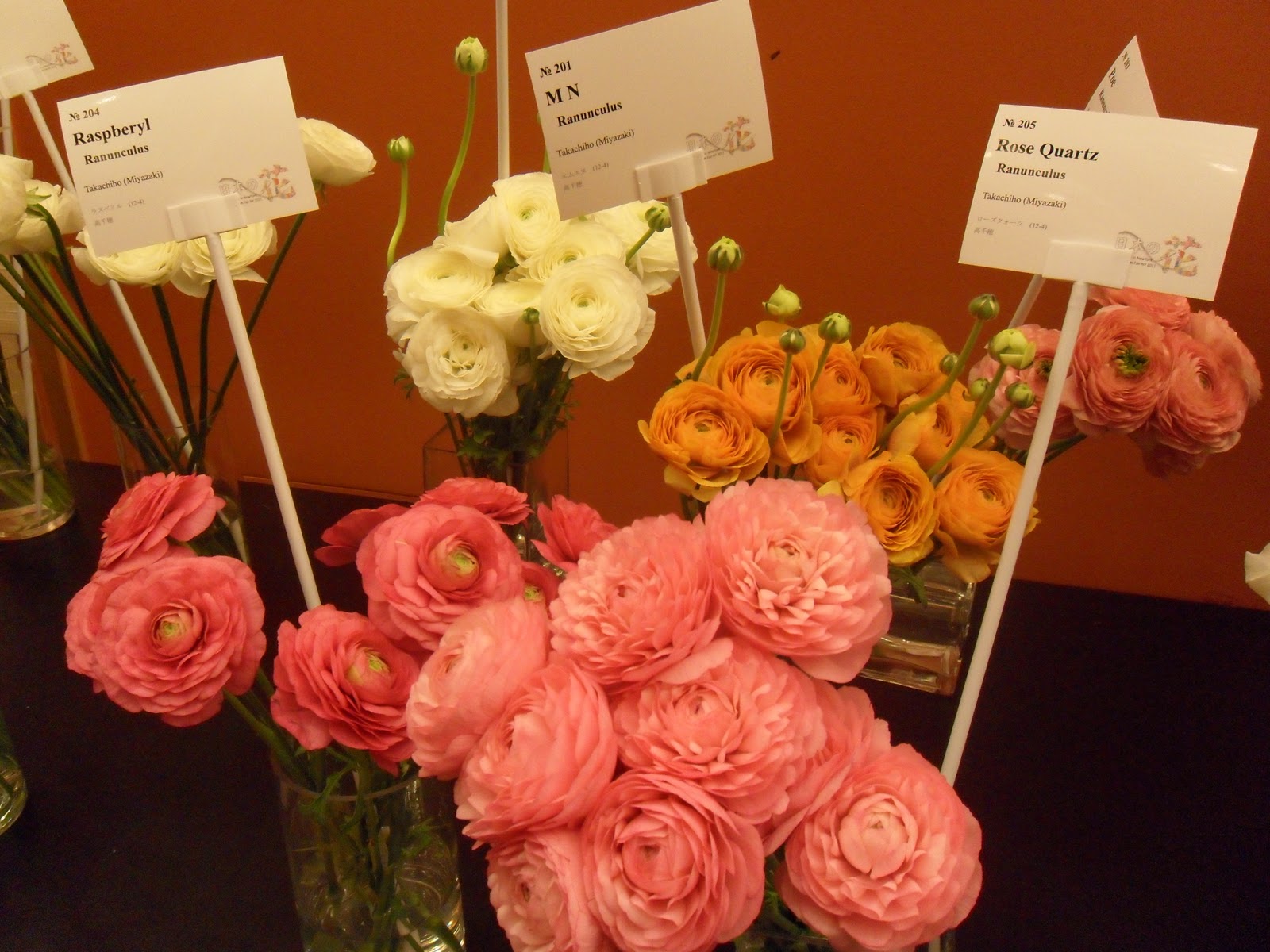 Craftiness NOW: A Japanese Flower Show