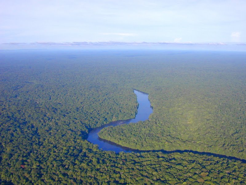 The Manyanga: The Forest People
