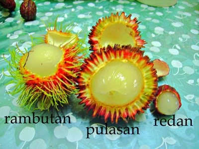 [Foto]: Buah Gidan (Redan), Buah Langka Yang [Hampir] Punah ~ Pecinta ...