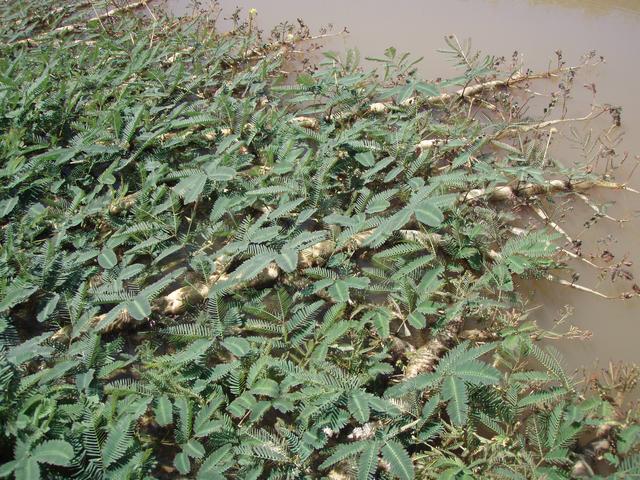 TERATAK SENJA: Pucuk Tangki