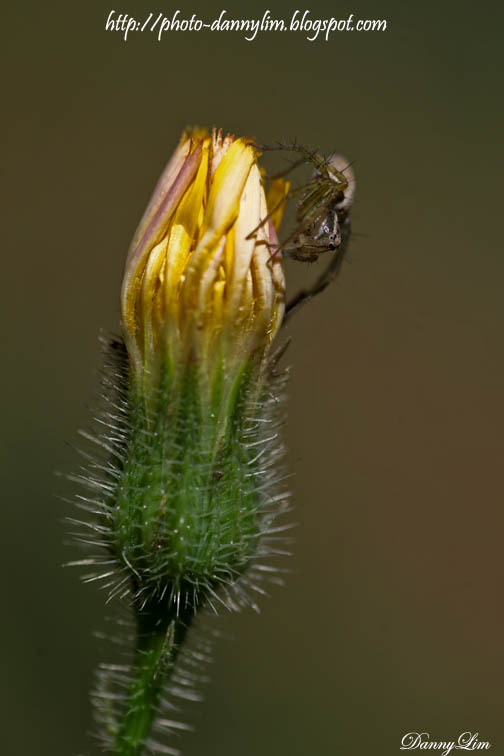 dannylim: Greece-Travel-Delphi