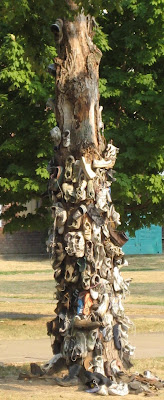 Unusual Kentucky: Murray State's Shoe Tree