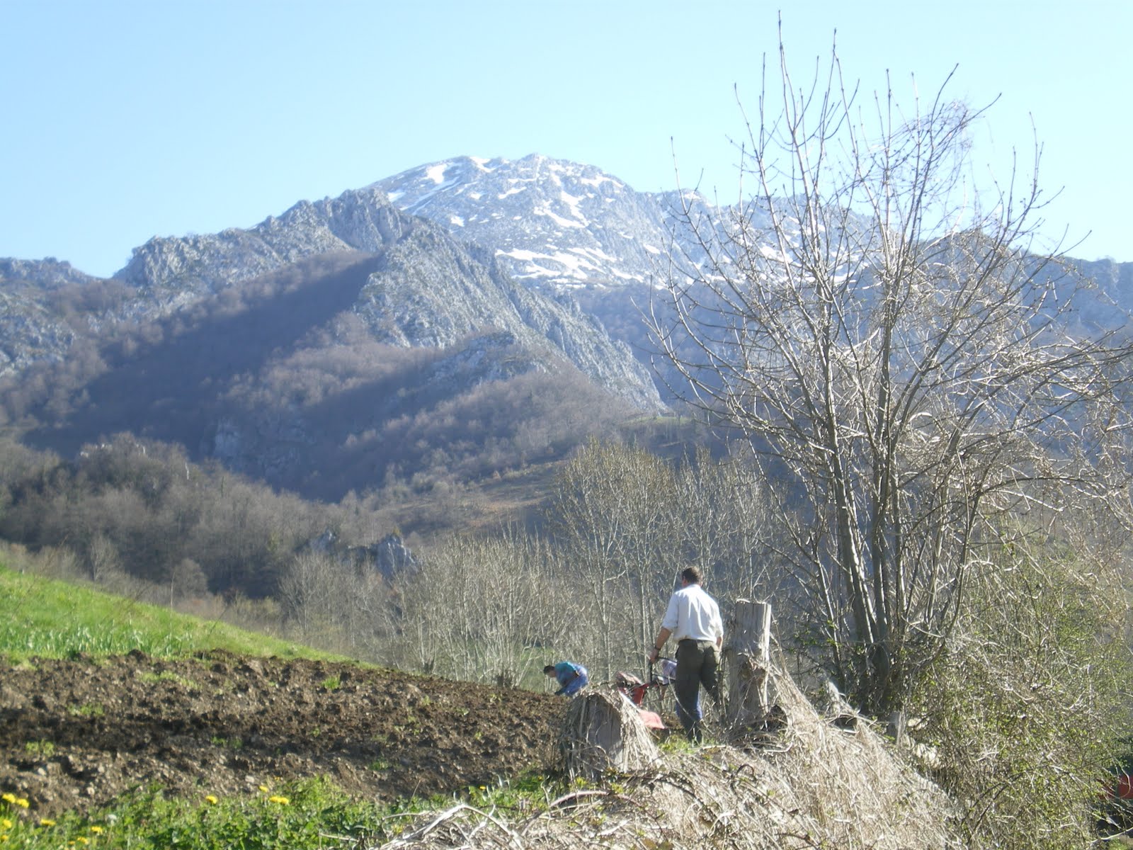 MOMENTOS DECISIVOS: EL TIATORDOS DESDE PENDONES 1º INTENTO: EN RECUERDO ...