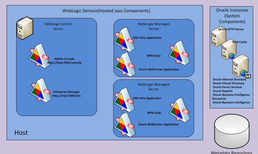 Meet The Architects: Oracle Fusion Middleware Environment Architecture