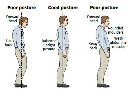 Science Knowledge: Standing posture