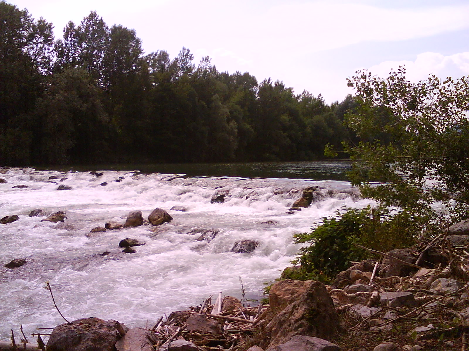 Sava River