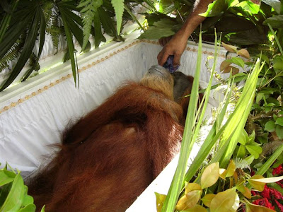 It's mY wOrld & my LiFe: Memorial Service of Ah Meng