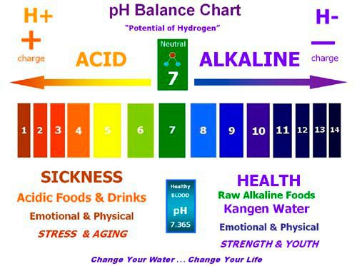 Ionized KangenWaterMagic Health: Are you pH imbalanced?