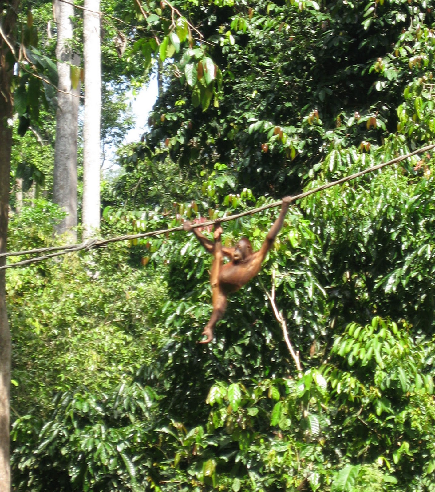 Ron at kidcyber in Borneo