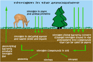 TNTI: MEMAHAMI ATMOSFERA (FUNGSI DAN KANDUNGANYA)