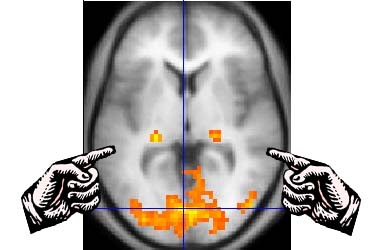 NeuroKuz: fMRI lie-detection evidence rejected in court