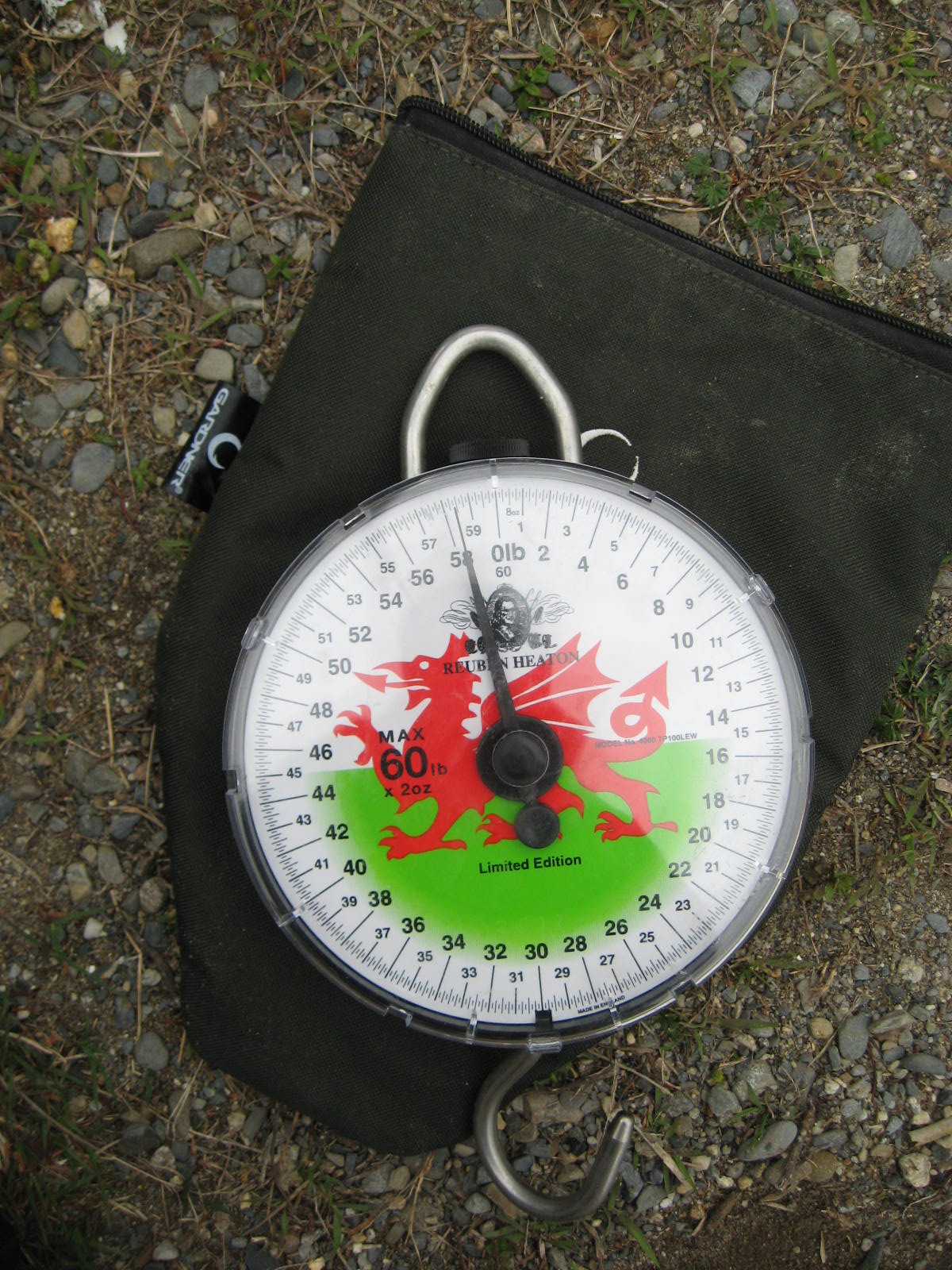 Rhode Island Carp Fishing: Carp Scales