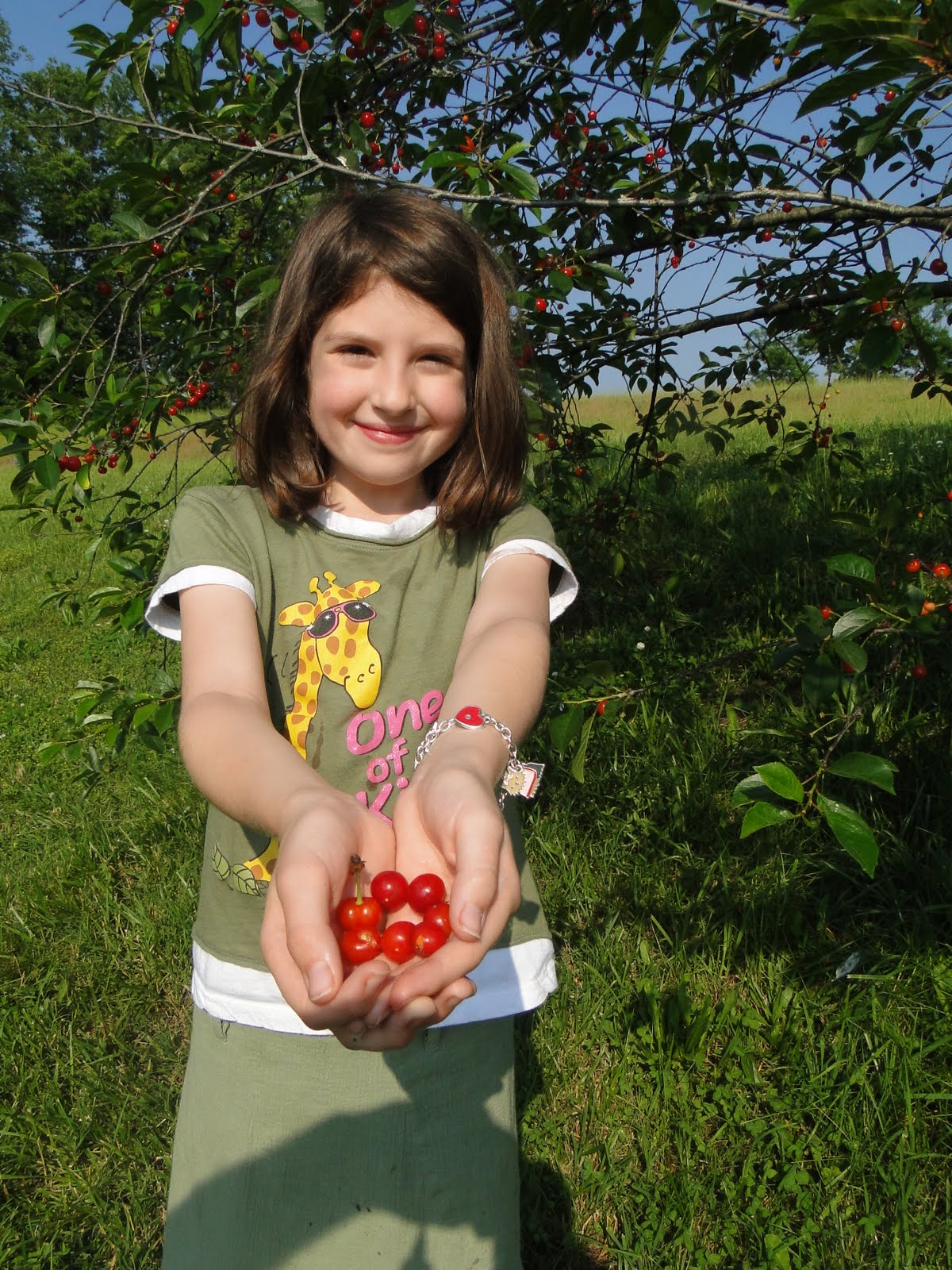 Gleanings From Gail: Cheerful Cherry Pickers