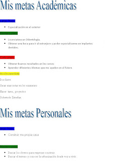 Freshman Seminar Grupo 1: El plan de metas personales, académicas y ...