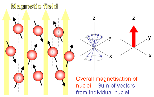 Physiology physics woven fine: Understanding the Basic Principles of ...