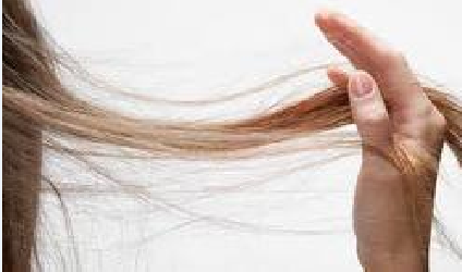 T R I C O L O G I S T A - T R I C O L O G I A: AVALIÇÕES DA HASTE CAPILAR