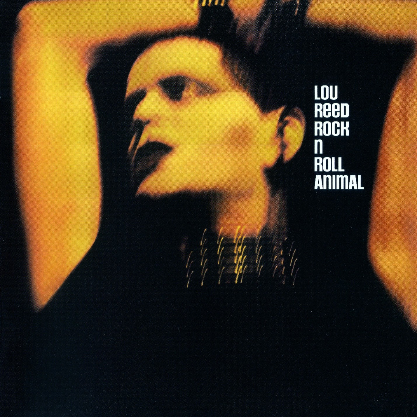 My Music Collection: Lou Reed