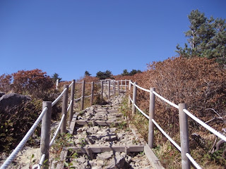 Snowboarding In Korea: My Chiri-san Trek